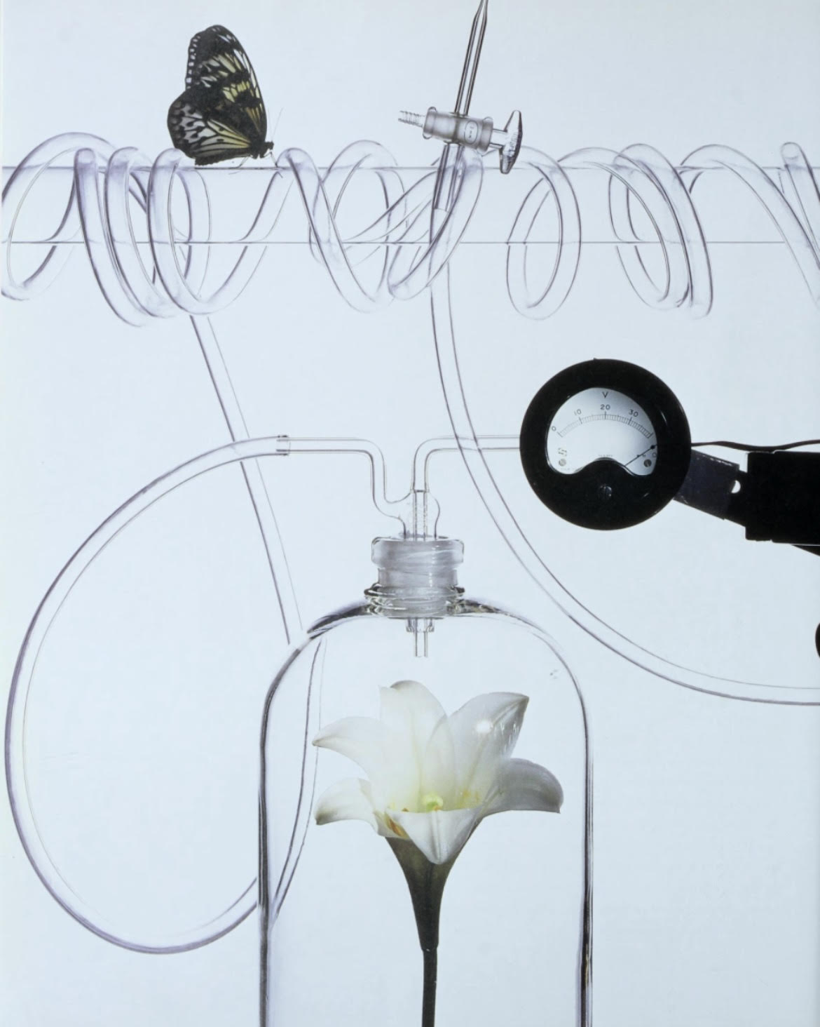 The Science Behind IV Drips – Sporty & Rich